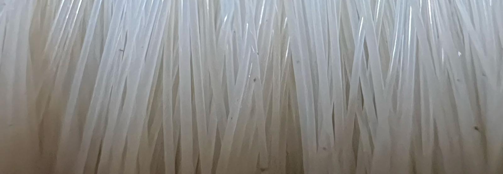 Sci-Lume could make your clothes eco-friendly Francis Tuttle Technology Center