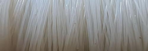 Sci-Lume could make your clothes eco-friendly Francis Tuttle Technology Center